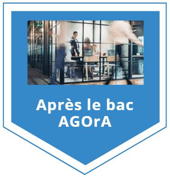 Bac pro Assistance à la gestion des organisations et de leurs activités (AGOrA) | ECONOMIE ...